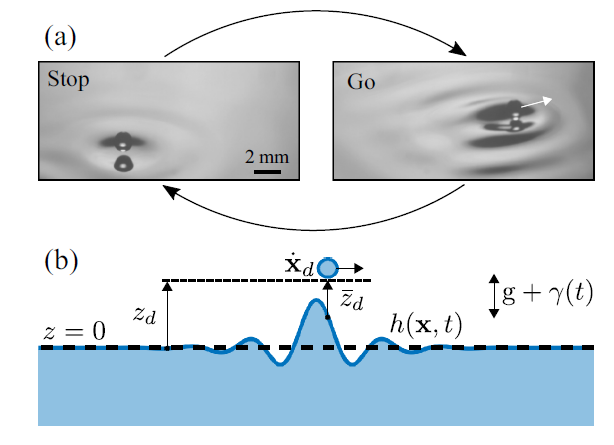 Publications – Rahil Valani