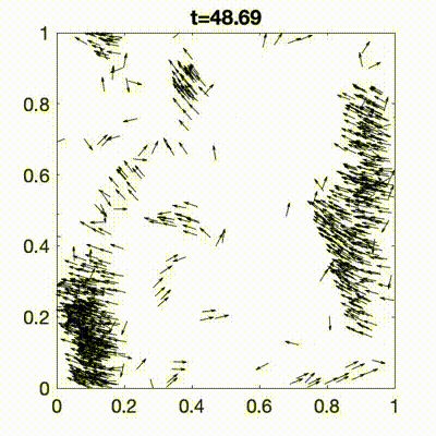 Research – Rahil Valani